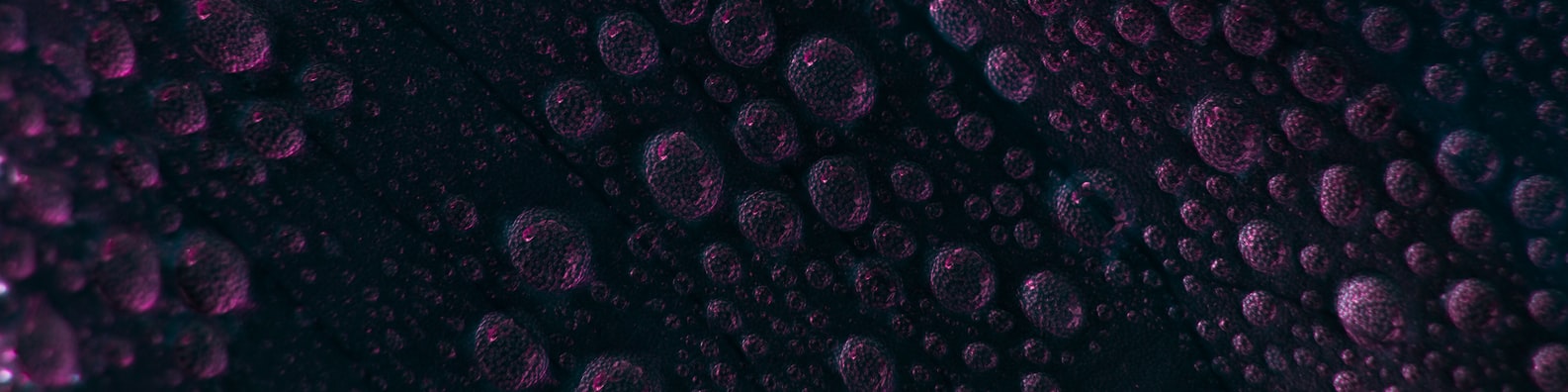 Magenta Bubbles - LinkedIn Background - Get some inspiration!