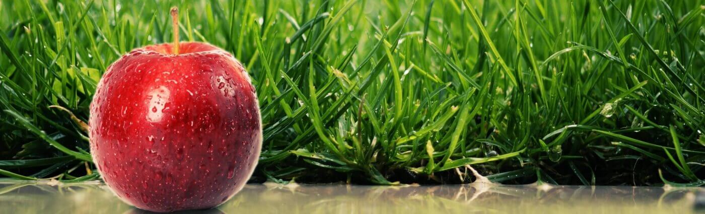 Newtons Apple Linkedin Background Get Some Inspiration