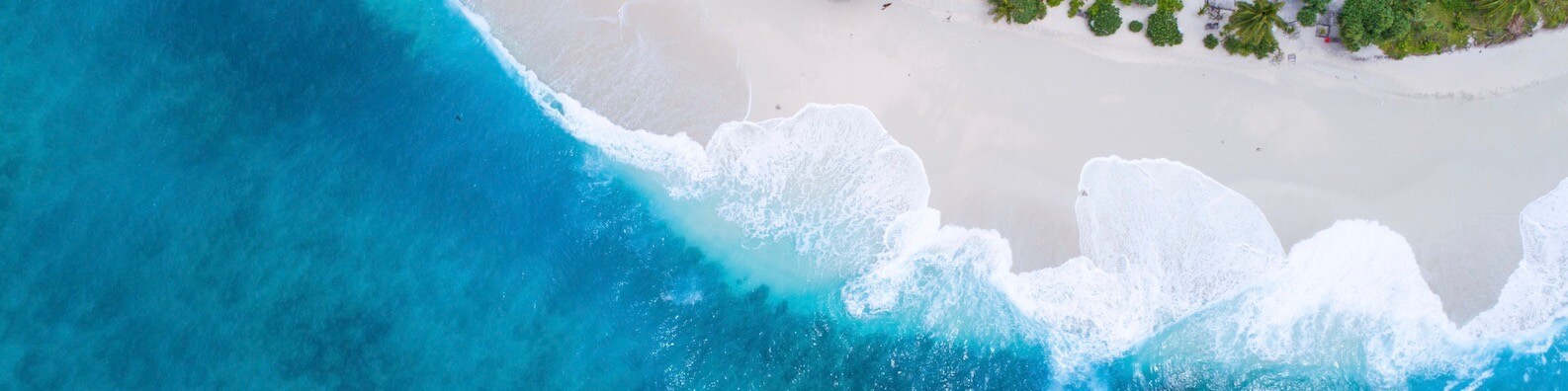 Beach - LinkedIn Background - Get some inspiration!