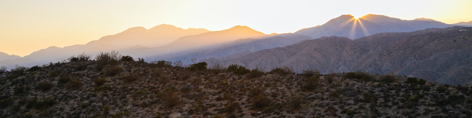 Seem - LinkedIn Background - Get some inspiration!