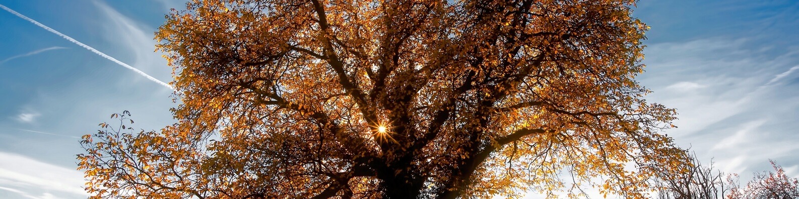 Time Of Hope - LinkedIn Background - Get some inspiration!