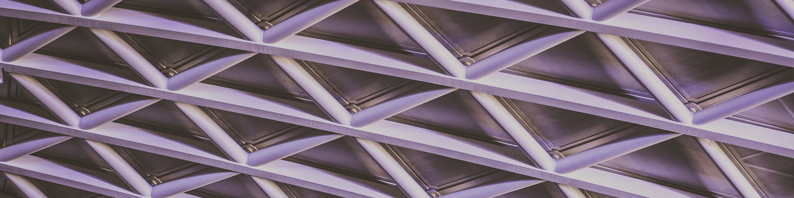 Tall Palm Trees - LinkedIn Background - Get some inspiration!